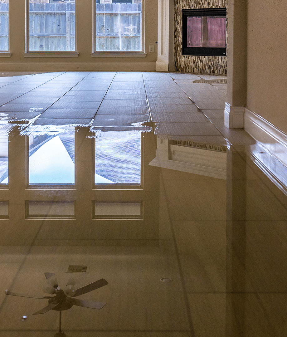 The Basics of Water Damage Restoration in Kansas